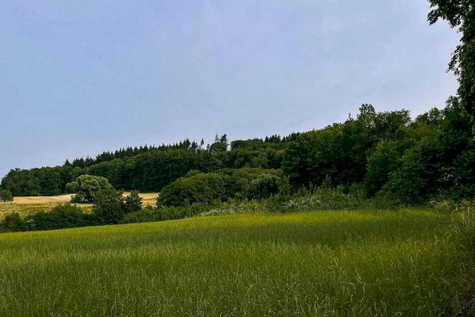 Three-Country Border: Germany, Netherlands and Belgium…