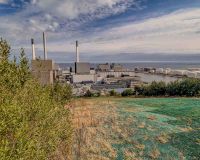 Copenhill: Copenhagen's Coolest and Most Sustainable Attraction